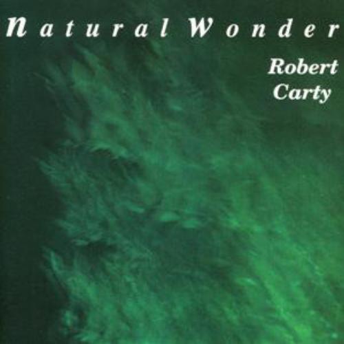 Robert Carty - Natural Wonder - Sonic Immersion