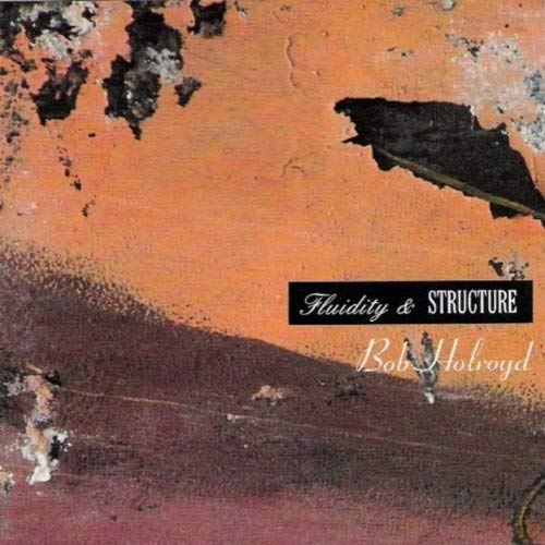 Bob Holroyd - Fluidity & Structure - Sonic Immersion