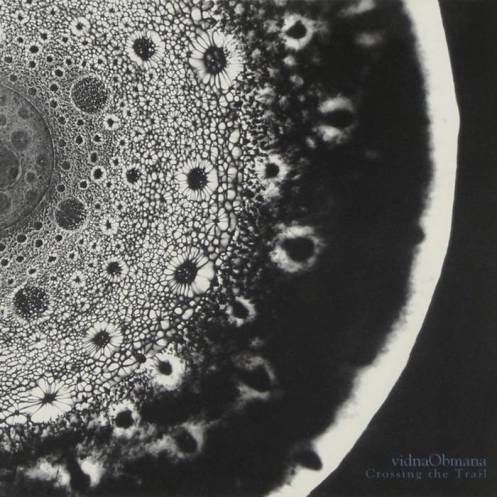 Vidna Obmana - Crossing the Trail - Sonic Immersion